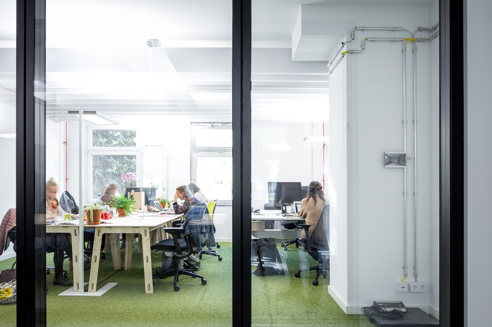 NGO Head Office - EN | C2C LAB